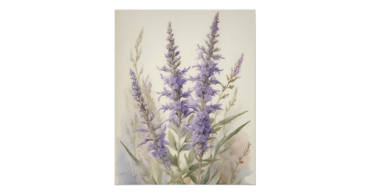 Russian Sage Poster | Zazzle