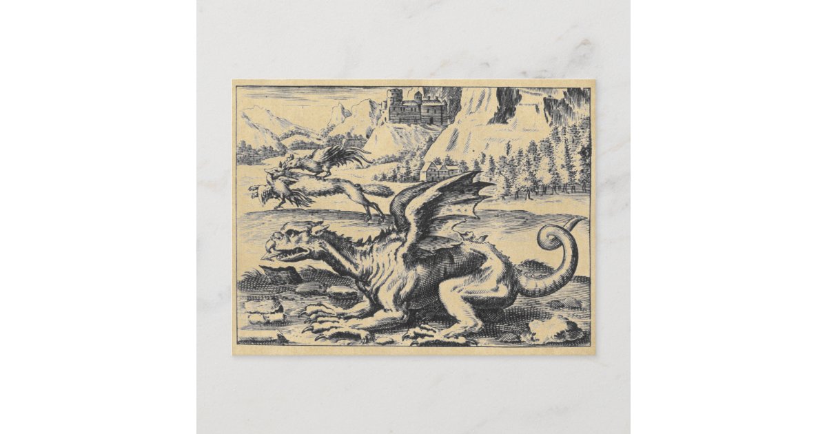 Rustic Alchemy Dragon Postcard | Zazzle