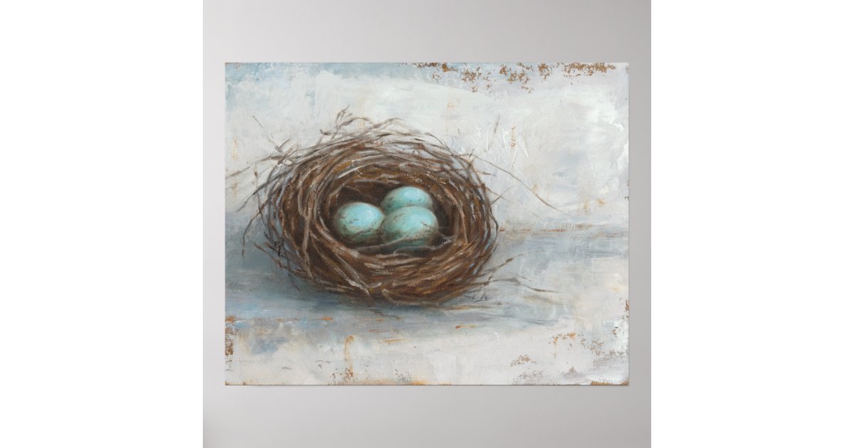 Rustic Bird Nest - Blue Poster | Zazzle