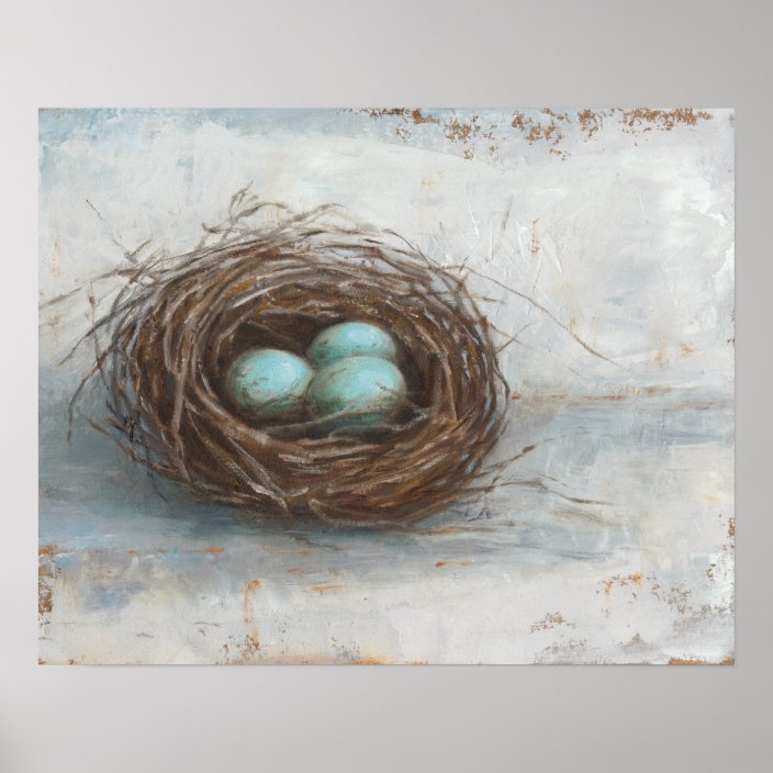 Rustic Bird Nest - Blue Poster | Zazzle.com