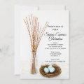 Rustic Bird Nest Eggs Spring Equinox Celebration Invitation | Zazzle