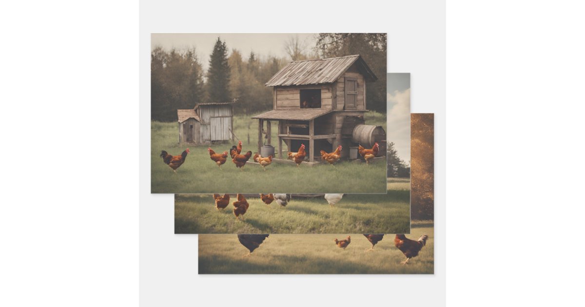Rustic Chicken Wrapping Paper Sheets | Zazzle