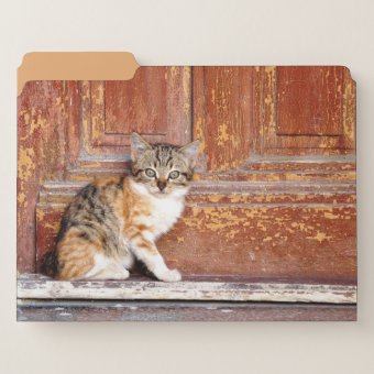Rustic Door Cat Cute Kitten Custom File Folder | Zazzle