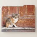 Rustic Door Cat Cute Kitten Custom File Folder | Zazzle