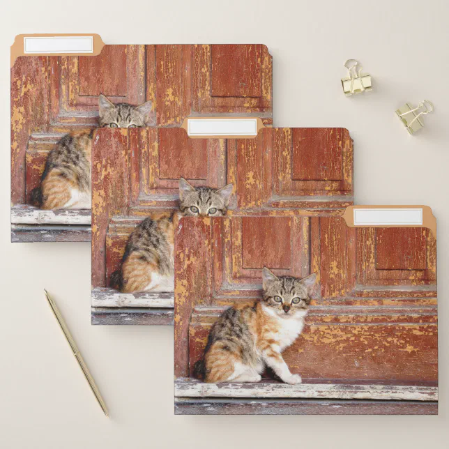 Rustic Door Cat Cute Kitten Custom File Folder | Zazzle