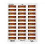 Rustic Fall Leaves Autumn Custom Address Labels | Zazzle