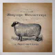 Rustic French Country Sheep Typography Farmhouse Poster | Zazzle
