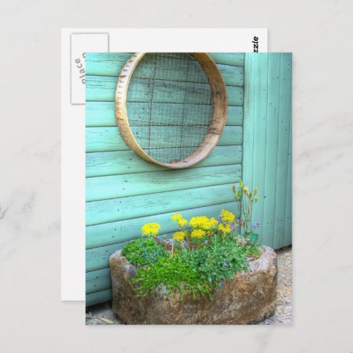 Rustic Mini Garden Postcard | Zazzle