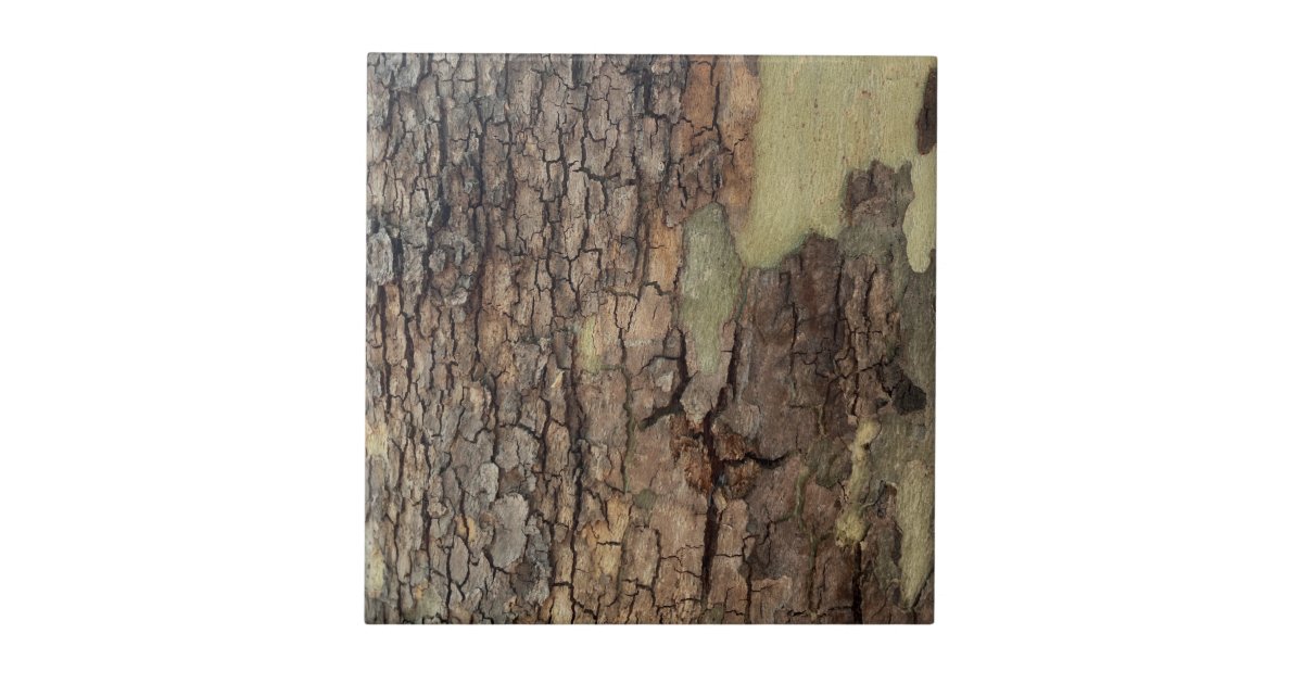 Rustic natural distressed tree bark forest trees ceramic tile | Zazzle