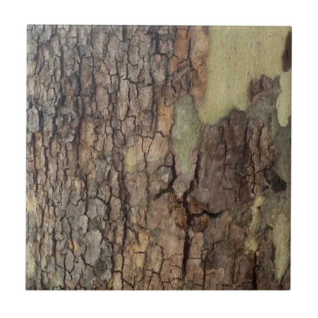 Rustic natural distressed tree bark forest trees ceramic tile | Zazzle
