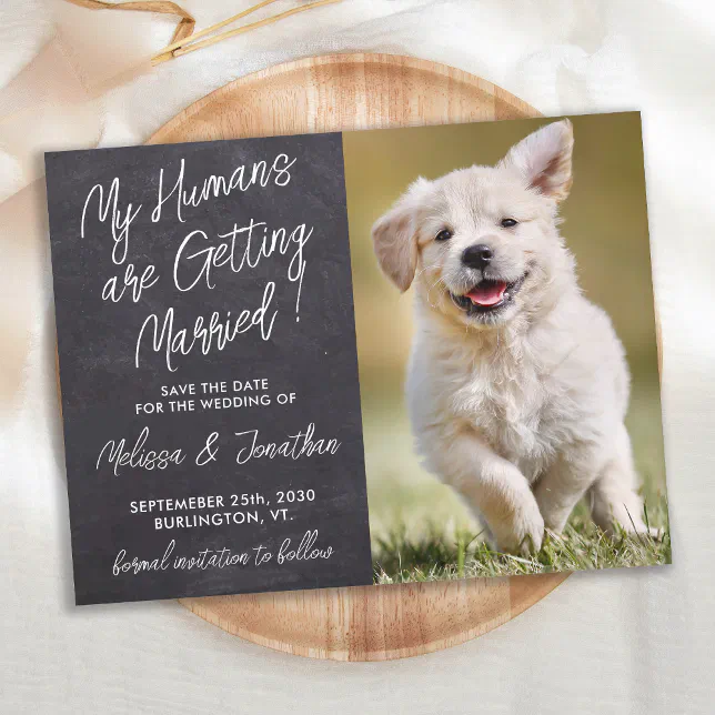 Rustic Pet Wedding Custom Photo Dog Save The Date Announcement Postcard ...