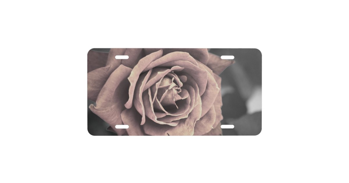 Rustic Pink Rose License Plate | Zazzle