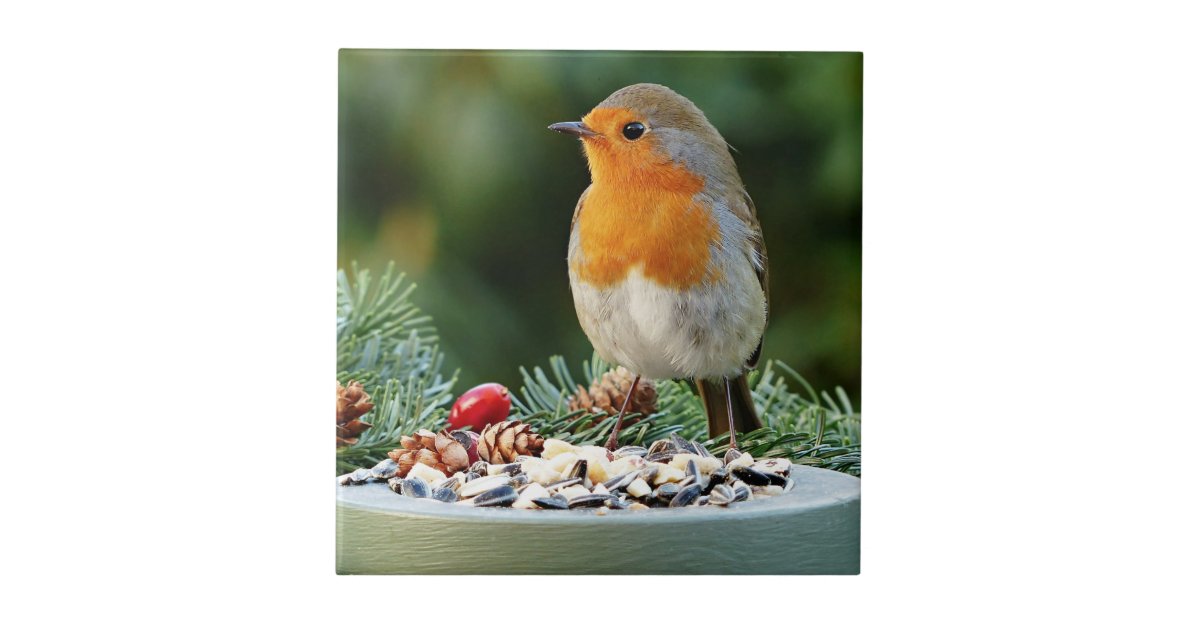 Rustic-Red Robin, Songbird Ceramic Tile | Zazzle
