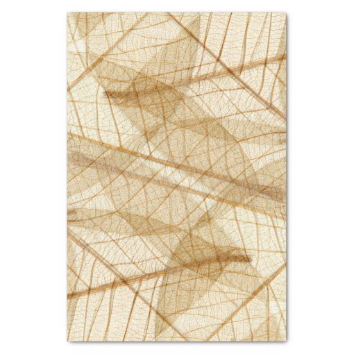 Rustic Sheer Cream Lace Leaves Tissue Paper | Zazzle