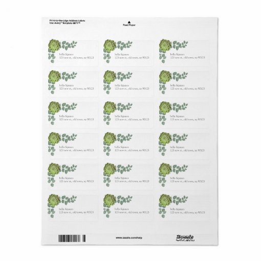 Rustic Succulent Address Labels | Zazzle