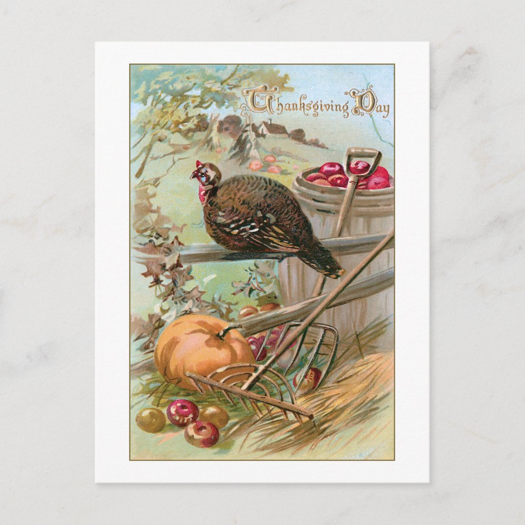 Rustic Vintage Thanksgiving Turkey & Pumpkin Postcard | Zazzle