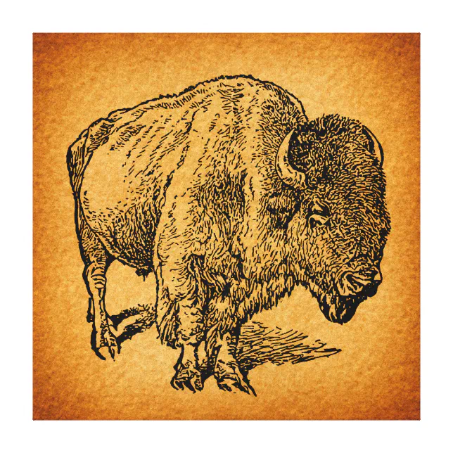 Rustic Western Wild Buffalo Bison Antique Art Canvas Print | Zazzle