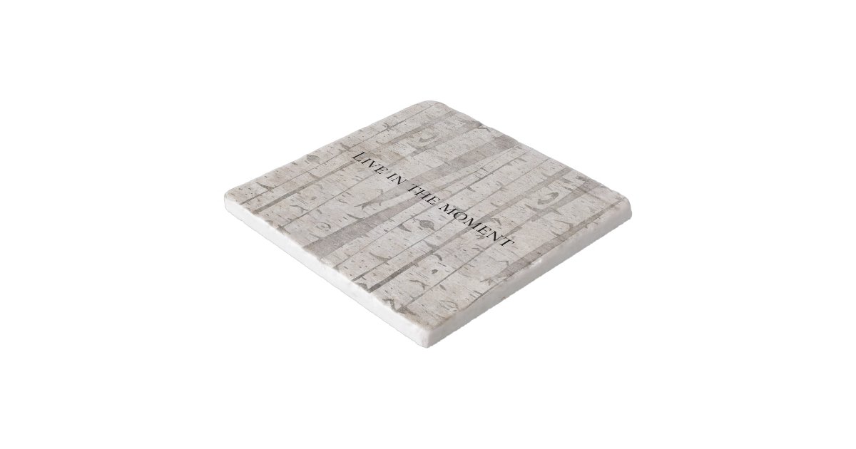 Rustic White Birch Trees Trivet | Zazzle