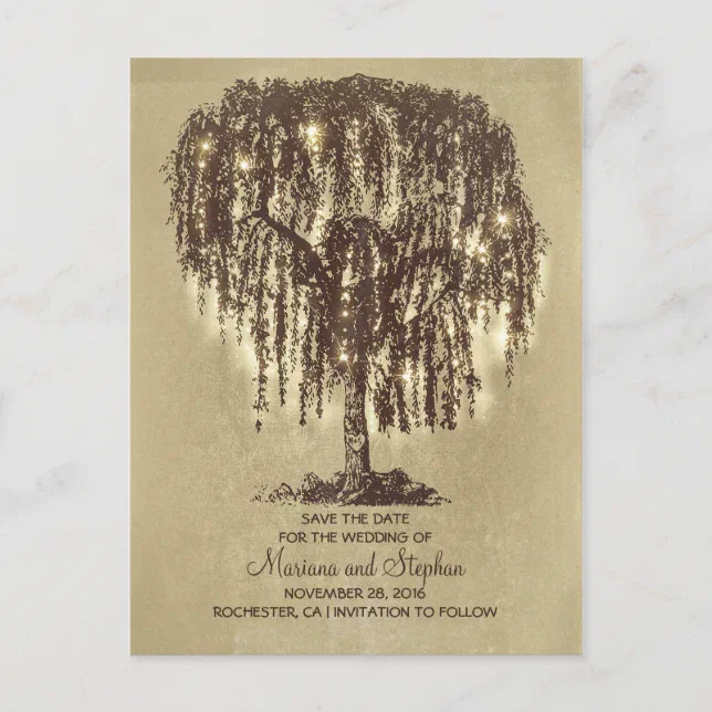 rustic willow tree & string lights save the date announcement postcard ...