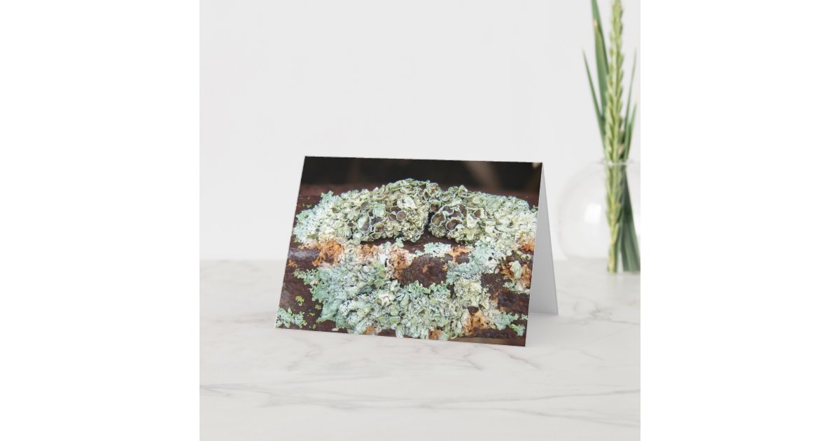 Rusty and Crusty Farm Equipment Card | Zazzle