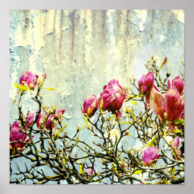 Rusty Magnolia Poster | Zazzle