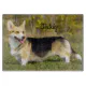 Sable Cardigan Welsh Corgi Dog Cutting Board | Zazzle