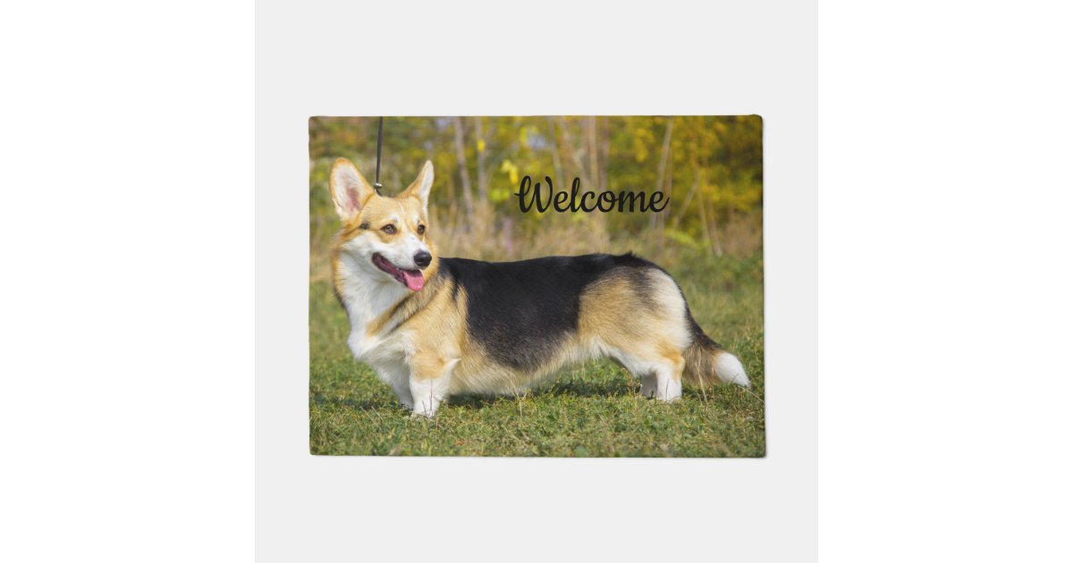 Sable Cardigan Welsh Corgi Dog Doormat | Zazzle