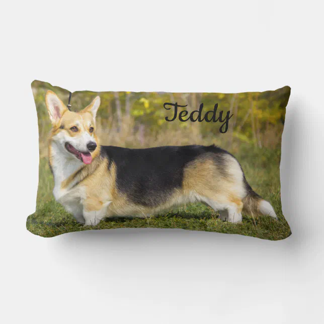 Sable Cardigan Welsh Corgi Dog Lumbar Pillow | Zazzle