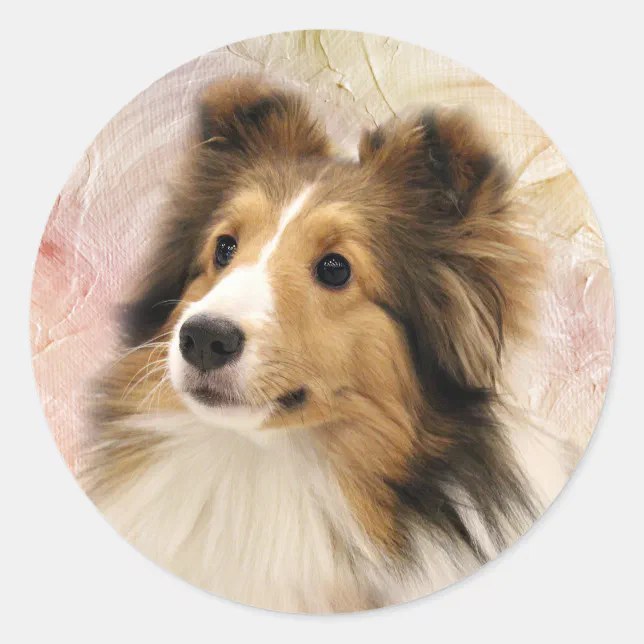 Sable Sheltie face Classic Round Sticker | Zazzle