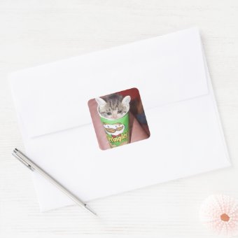 sad cat in pringles can square sticker | Zazzle
