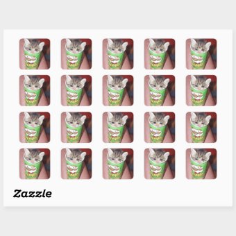 sad cat in pringles can square sticker | Zazzle