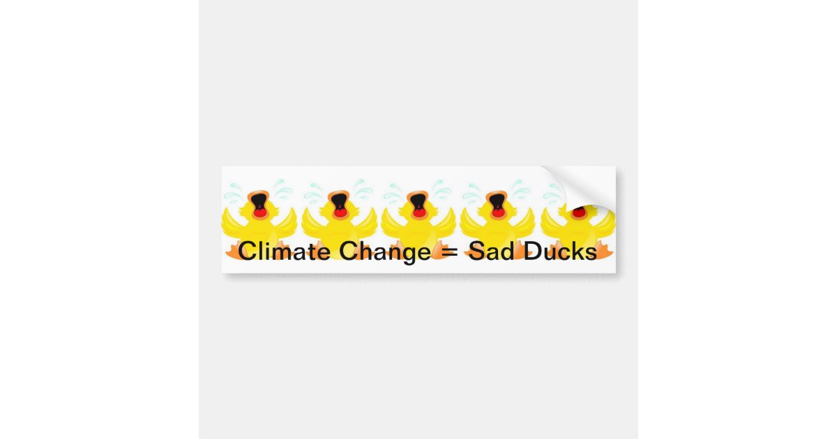 Sad Ducks Bumper sticker | Zazzle