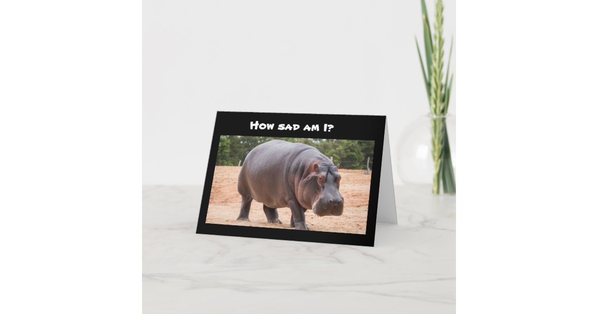 SAD HIPPO SAYS "I MISS YOU" CARD | Zazzle