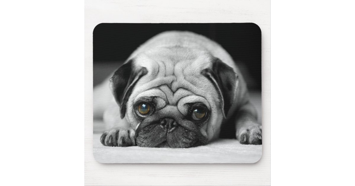Sad Pug Mouse Pad | Zazzle