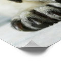 Sad Pug Puppy Dog Poster | Zazzle