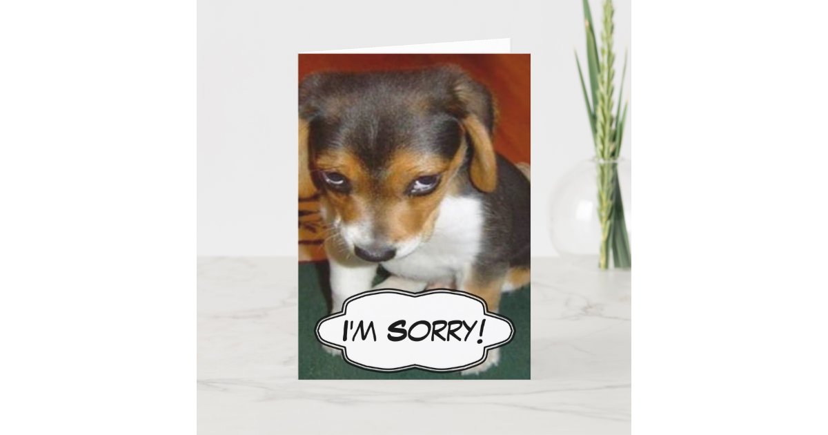 Sad Puppy - I'm Sorry Card | Zazzle