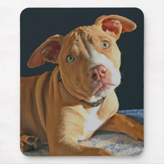 Sad Puppy Pit Bull Dog Doggy Mousepad | Zazzle