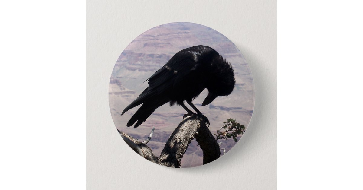 Sad Raven Button 01 | Zazzle