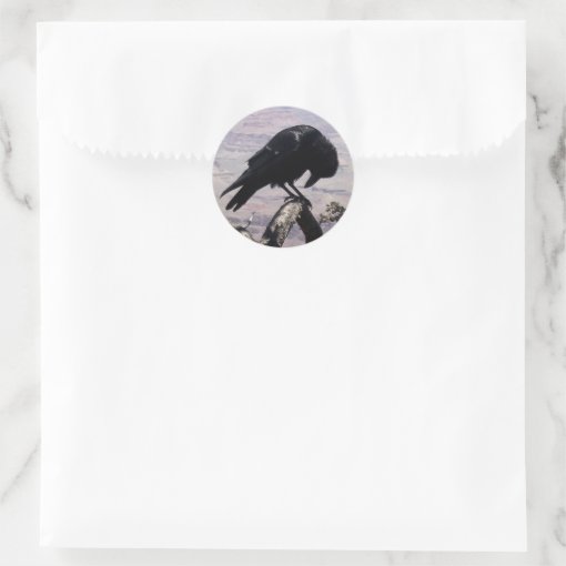 Sad Raven Stickers 01 | Zazzle