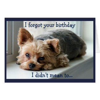 Yorkie Birthday Cards - Greeting & Photo Cards | Zazzle
