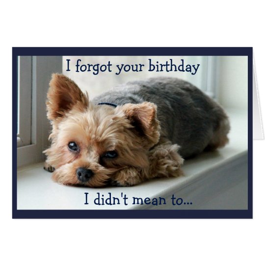 Sad Yorkie Belated Birthday Card | Zazzle.com