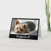 Sad Yorkie Pup Belated Birthday Card | Zazzle