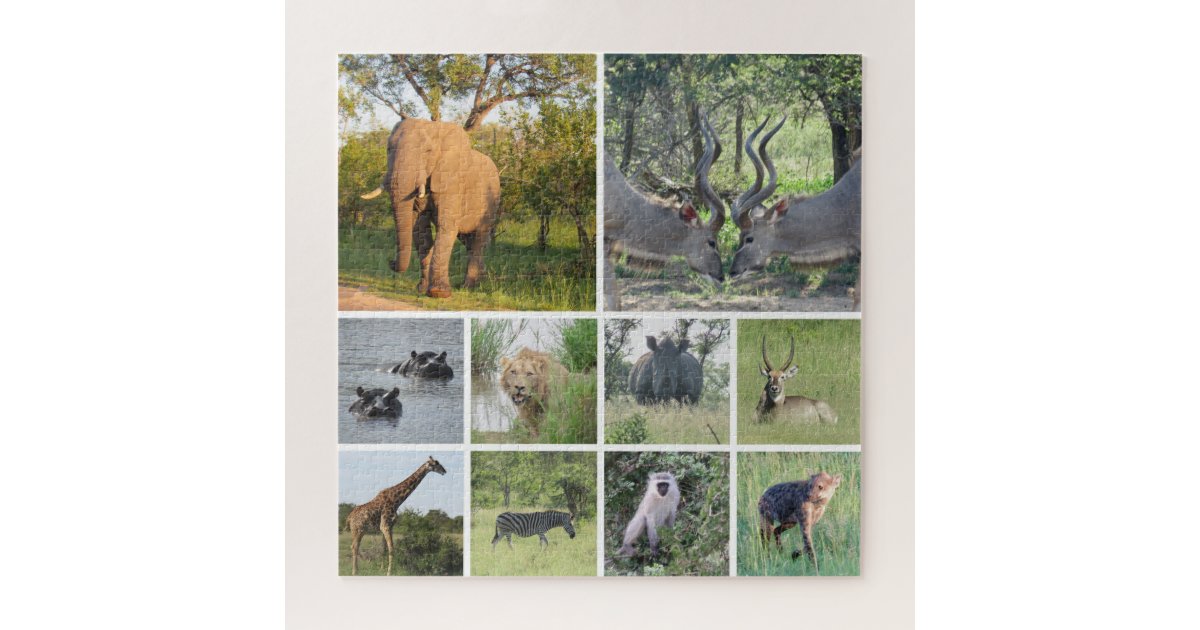 safari collage jigsaw puzzle | Zazzle