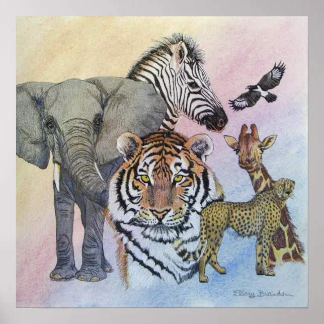 Safari Sampler Poster | Zazzle