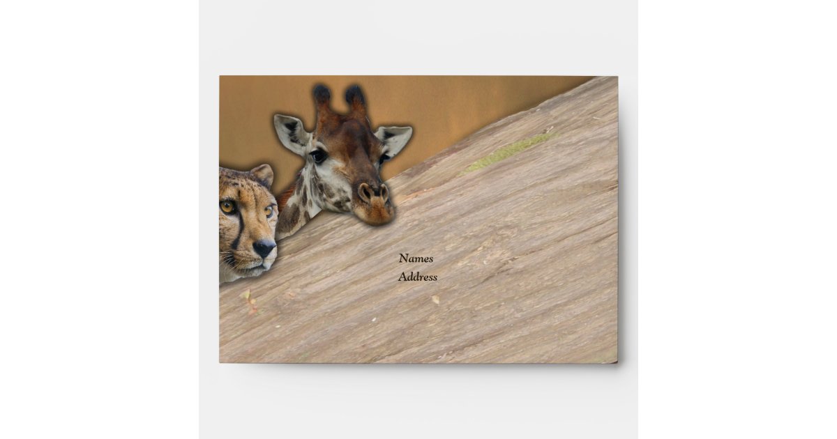Safari wildlife Envelopes | Zazzle