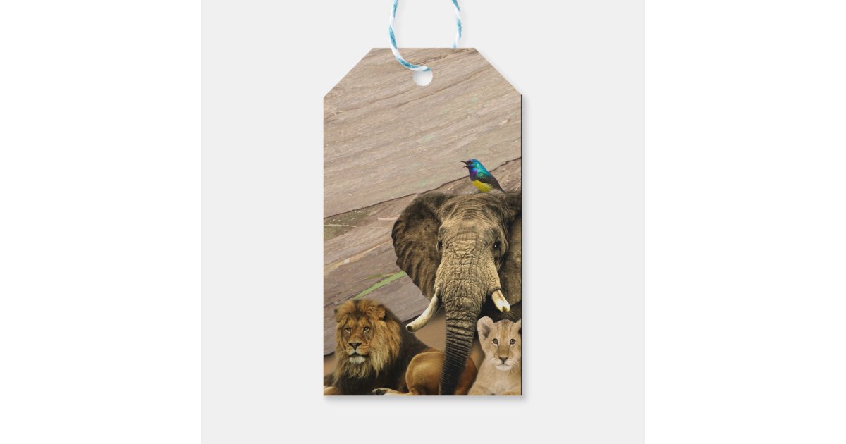 Safari Wildlife Gift Tag | Zazzle
