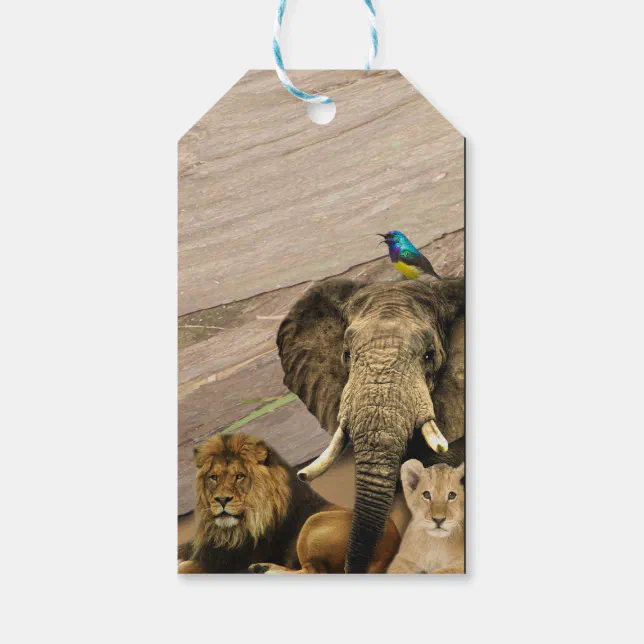 Safari Wildlife Gift Tag | Zazzle
