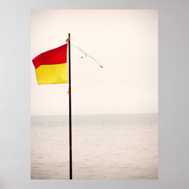 Safe Flight Poster | Zazzle