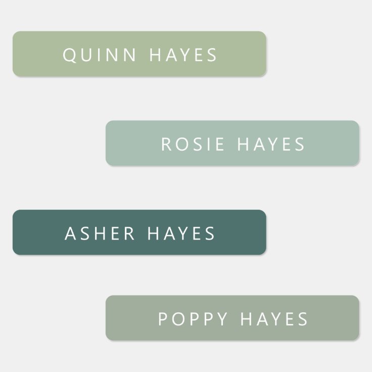 Sage Green Name Labels | Zazzle