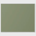 Sage Green Solid Color Wrapping Paper | Zazzle
